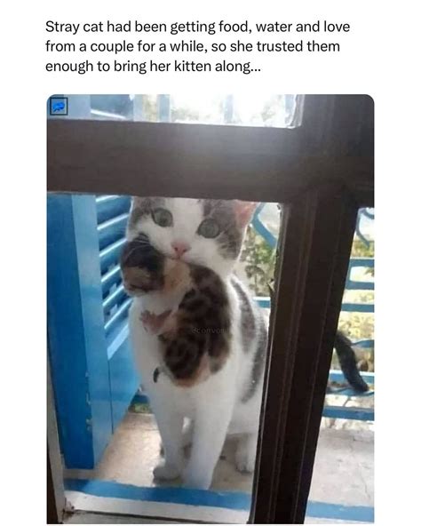 Nancy S Pollak Tag Someone 🥹 Facebook