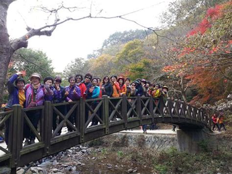 요양보호사 직원 야유회 사진게시판 대한노인요양원 대한노인주야간보호센터