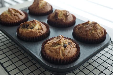 씨앗머핀초코칩 해바라기씨 머핀