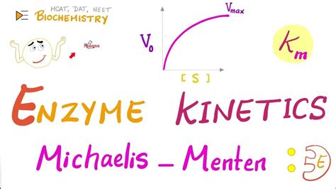 Michaelis Menten Equation And Enzyme Kinetics Biochemistry Series Youtube