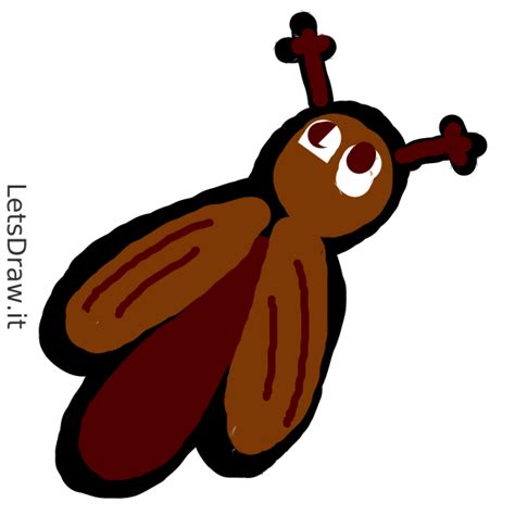 How To Draw Bug A O Tdx W Png LetsDrawIt