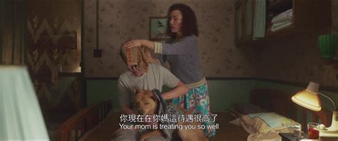 有飛送 《忠犬八公》優先場戲票20張 入圍第25屆意大利「遠東電影節」競賽單元，改編自1987年日本電影《八千公物語》新藤兼人原著劇本