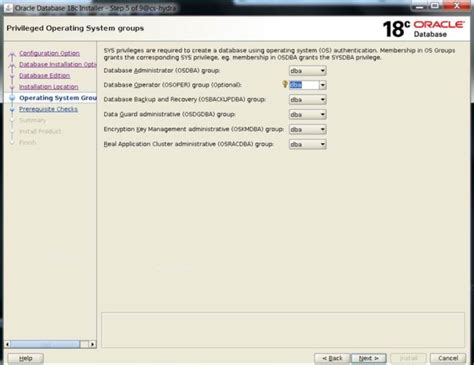 oracle 18c installation in linux geodata master