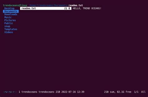 ranger terminal file manager inspired by vim for linux trend oceans