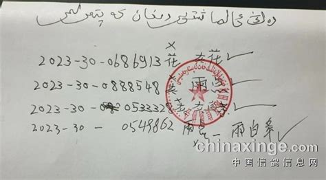 新疆和阗玉赛鸽中心第一关200公里热身赛集鸽现场 新疆和阗玉赛鸽中心春棚 中信网各地公棚