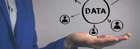 Data Owner Data Manager Chief Data Officer Mythe Ou Réalité