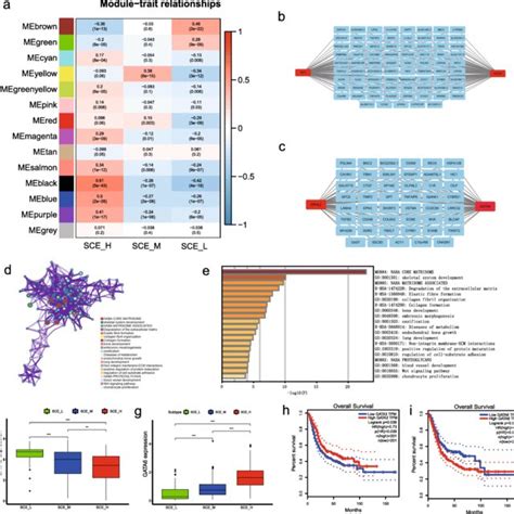 Gsea Of Blca Stem Cell Subtypes Af Gsea Of Sce H Vs Sce L With Gsea