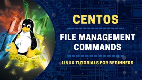 File Management In Linux In Urdu Hindi How To Create Files In Linux