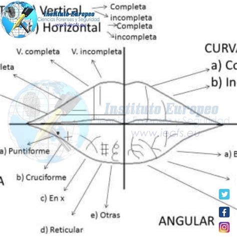 La Queiloscopia Es El Estudio Institutocienciasforenses