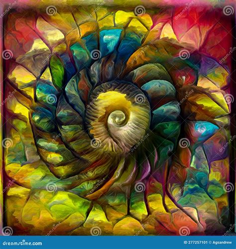 Colorful Nautilus Stock Image Image Of Aquatic Design 277257101