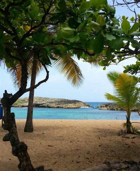 Mar Chiquita Hidden Beach Manati Puerto Rico Puerto Rico Pictures Beautiful Islands Manati