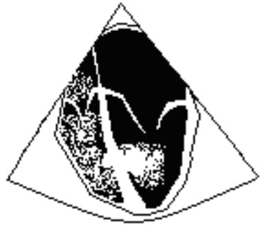 ECHO 211 FINAL From Emily S Quizlet Flashcards Quizlet