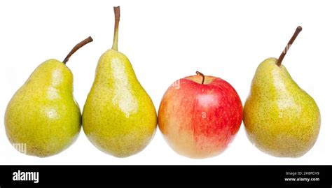 Apple Compared To Pears Apple Pear Pears Compared Apples With Comparison Differences