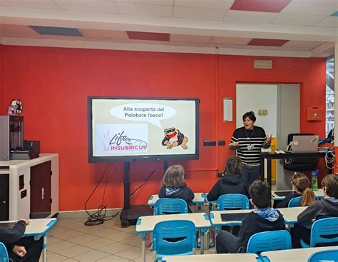 Flag Elementary School Classi 4 E 5 Progetto Life Insubricus La Flag