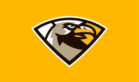 Premium Vector Logo Of The Hawks Head Shield A Dangerous Predator An