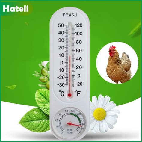 Thermometer Chicken At Charlotte Stretton Blog
