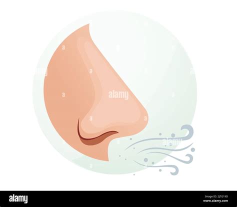 Human Nose Smell And Breathe Stock Illustration As Eps 10 File