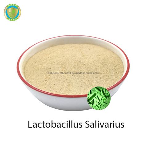 Lactobacillus Salivarius Free Sample Lactobacillus Salivarius