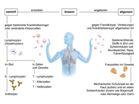 Illustrationen Check Up Melanoma Medicalgraphics