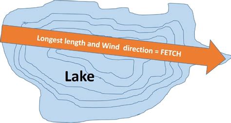 Understanding Lake Fetch MSU Extension