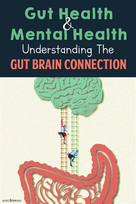 Gut Health And Mental Health Understanding The Gut Brain Connection