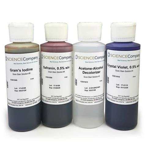 Gram Stain Set 4 X 4oz Bottles