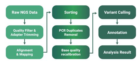 bioinformatics standard ngs data analysis pipeline celemics inc