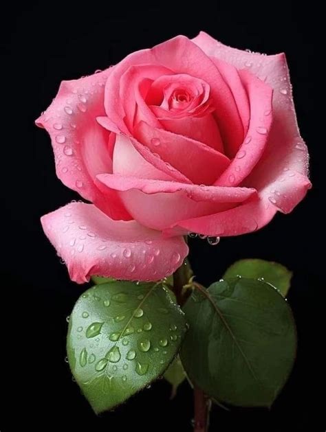 Nadeem Siddiqui Posted On Linkedin