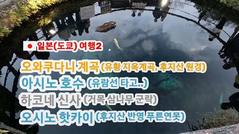 일본 여행 토쿄 여행 오와쿠다니 계곡 아시노 호수 유람선 하코네 신사 삼나무 거목 군락 오시노 핫카이 푸른
