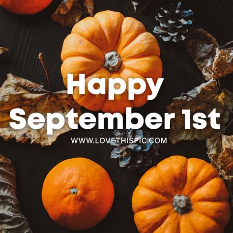 Orange Small Pumpkins Happy September 1st Pictures Photos And