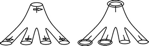 Holomorphic Curves For The Cohomological Vector Field Left And For
