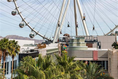 10 Best Ziplines In The World For Adventure Seekers