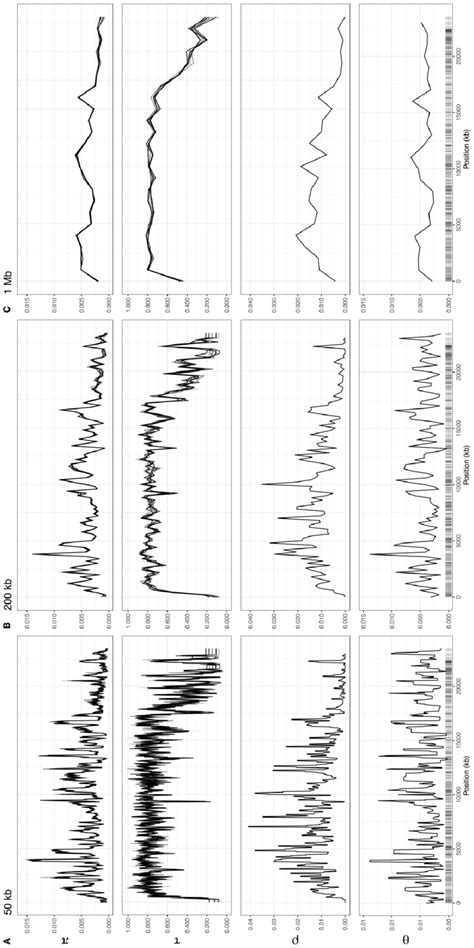 Genomic Landscapes Simulated Under Background Selection And Their