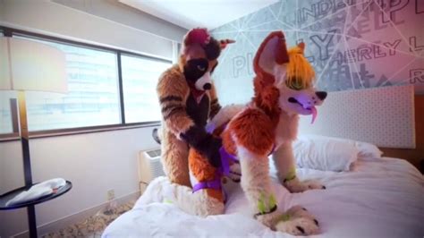 Furry Porn Thisvid Com