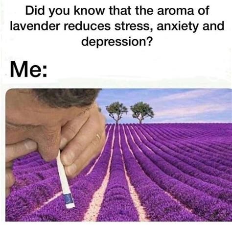 Sorry If This Has Been Posted Already Rmemes