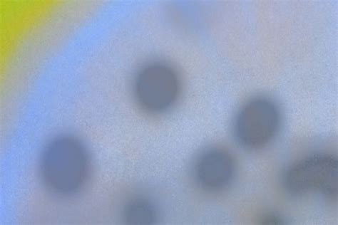 Is Vaginal Biofilm Causing Recurring Bv Or Yeast Infections Evvy