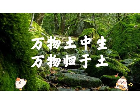 万物土中生 万物归于土 少年商学院