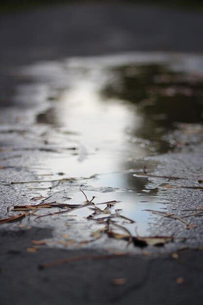 Premium Photo Close Up Of Puddle