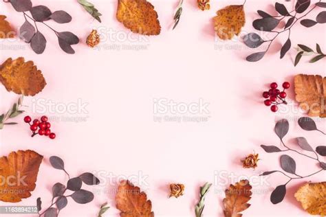 가을 구성 말린 잎으로 만든 프레임 분홍색 배경에 꽃 가을 가을 컨셉 플랫 레이 상단 보기 복사 공간 가을에 대한 스톡 사진 및