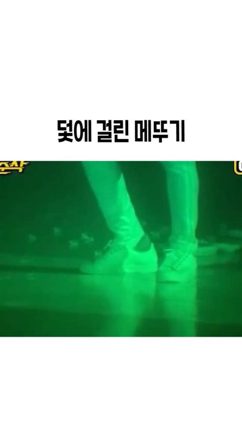 무한도전레전드 올타임레전드 무한도전 레전드 영상만 올립니다 무도 레전드 영상은 Alltimelegendmudo 무한