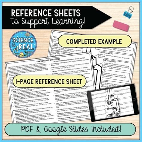 Microscope Graphic Organizer Science Is Real Education