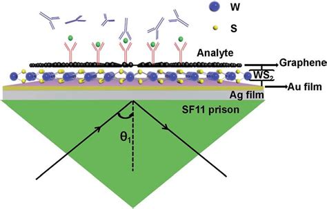 A Schematic Diagram Of The Spr Sensor System Download Scientific Diagram