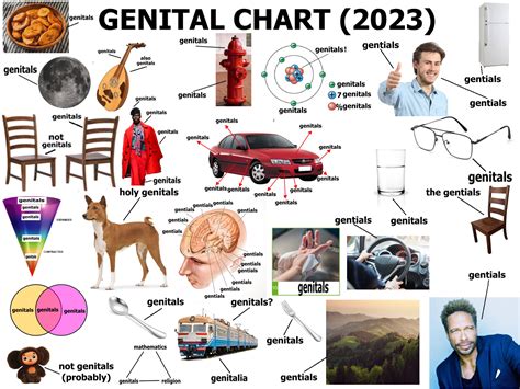 The Chart Was Cosmically Huge Including Like 4 Times As Many Items And I Don T Remember All The