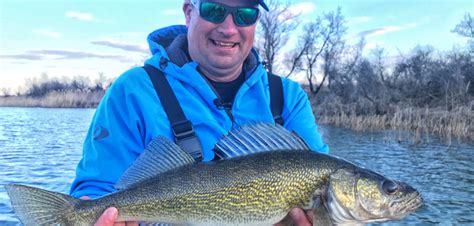 Speed Rigging For Walleye Virtual Angling