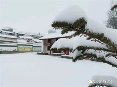 陇南风光 池坝春雪 邀您共赏澎湃号·政务澎湃新闻 The Paper