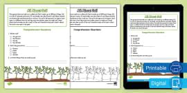 Label And Color The Soil Differentiated Activity Worksheet For K 2nd Grade