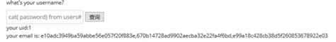 Pikachu系列之sql注入（sql Inject）sql注入url栏为什么要加注释 Csdn博客