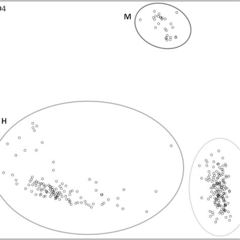 Non Metric Multidimensional Scaling Plot Based On Six Focal Cuticular