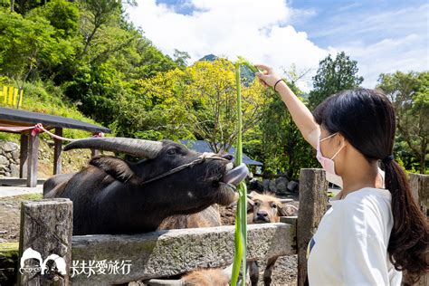 宜蘭│頭城景點一日遊！疫情期間先珍藏，山海秘境美景行程一次蒐集 輕旅行