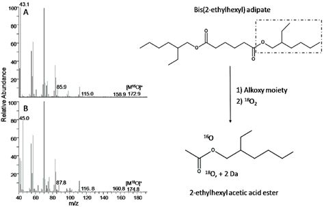 Positive Ion Mass Spectra Of 2 Ethylhexyl Acetic Acid Ester G Download Scientific Diagram
